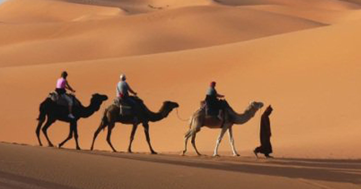 Desert Delivery