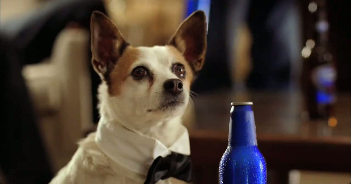 Bud Light Dog-Sitter