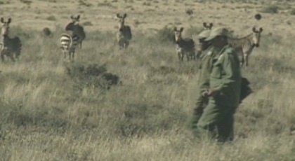 Bushmen Cyber Trackers: From Africa to the World 2