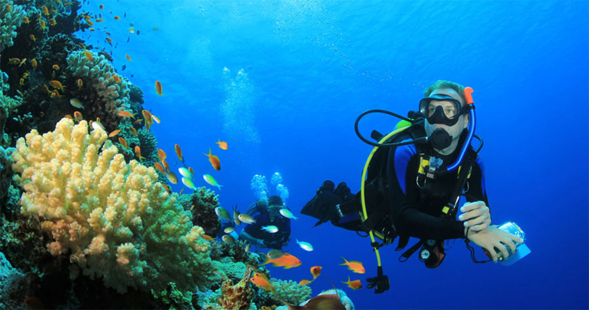 Arctic Diving in Murmansk Russia