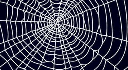 Spider Webs: Silk vs. Steel