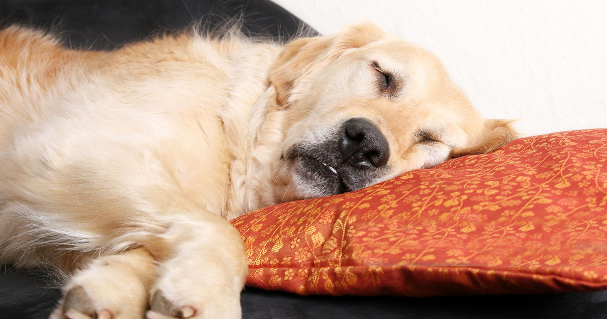 This Is My First Job