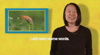 Welcome to Our World 1-Unit 8- Vocabulary