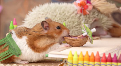 Hamsters Drink at a Tiki Bar