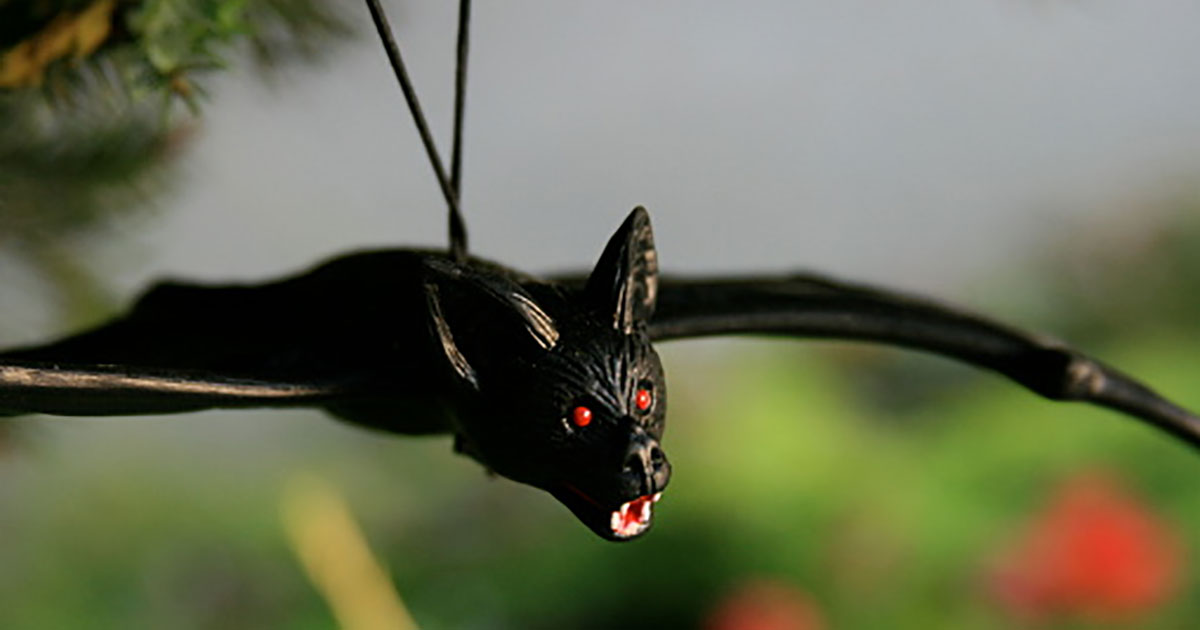 Scary Bats