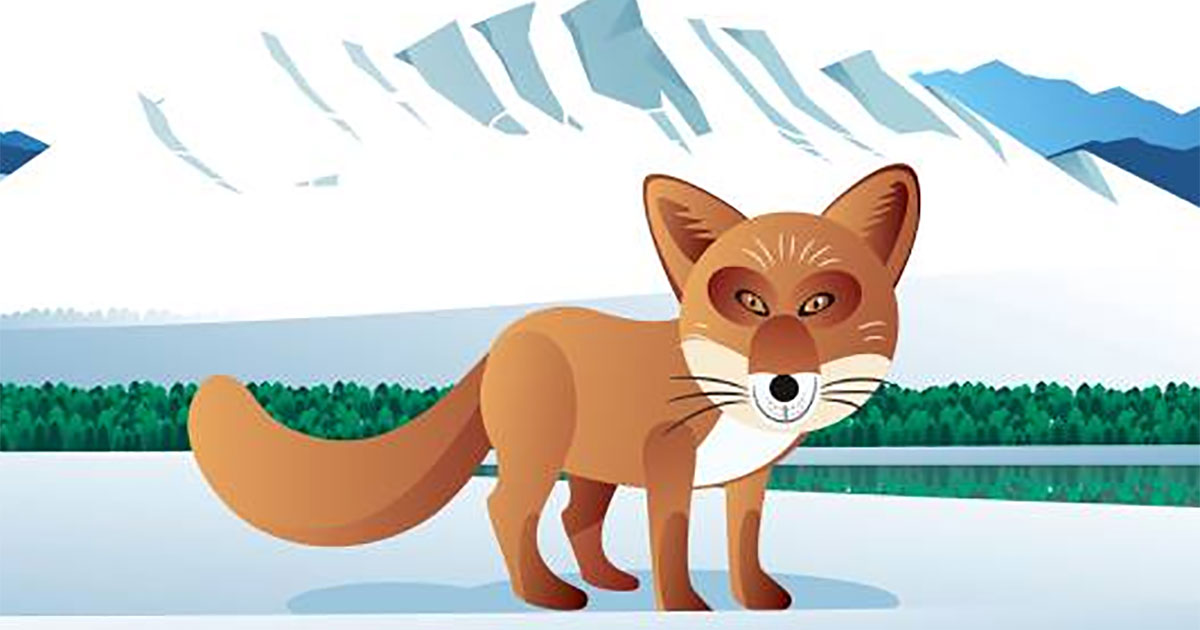 What Is This Animal?