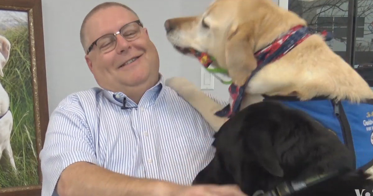 Dogs Can Detect Diabetes