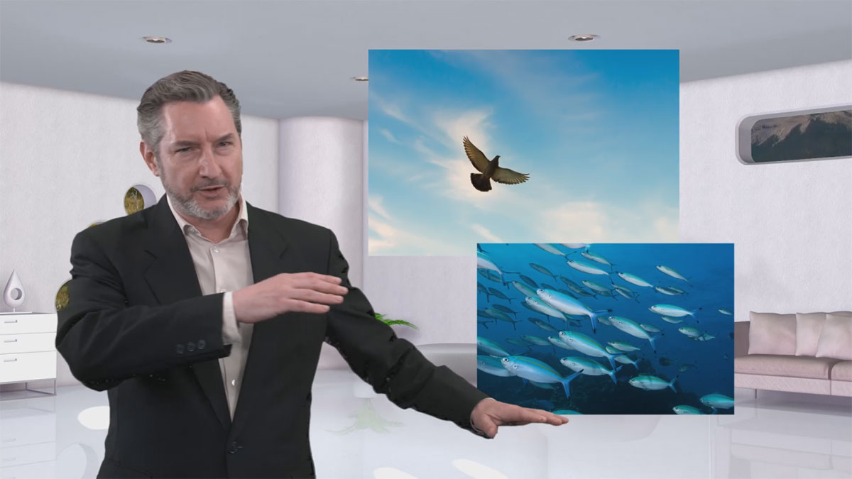 Transform Book 1 Lesson 3 Pre-Study MC Video 1