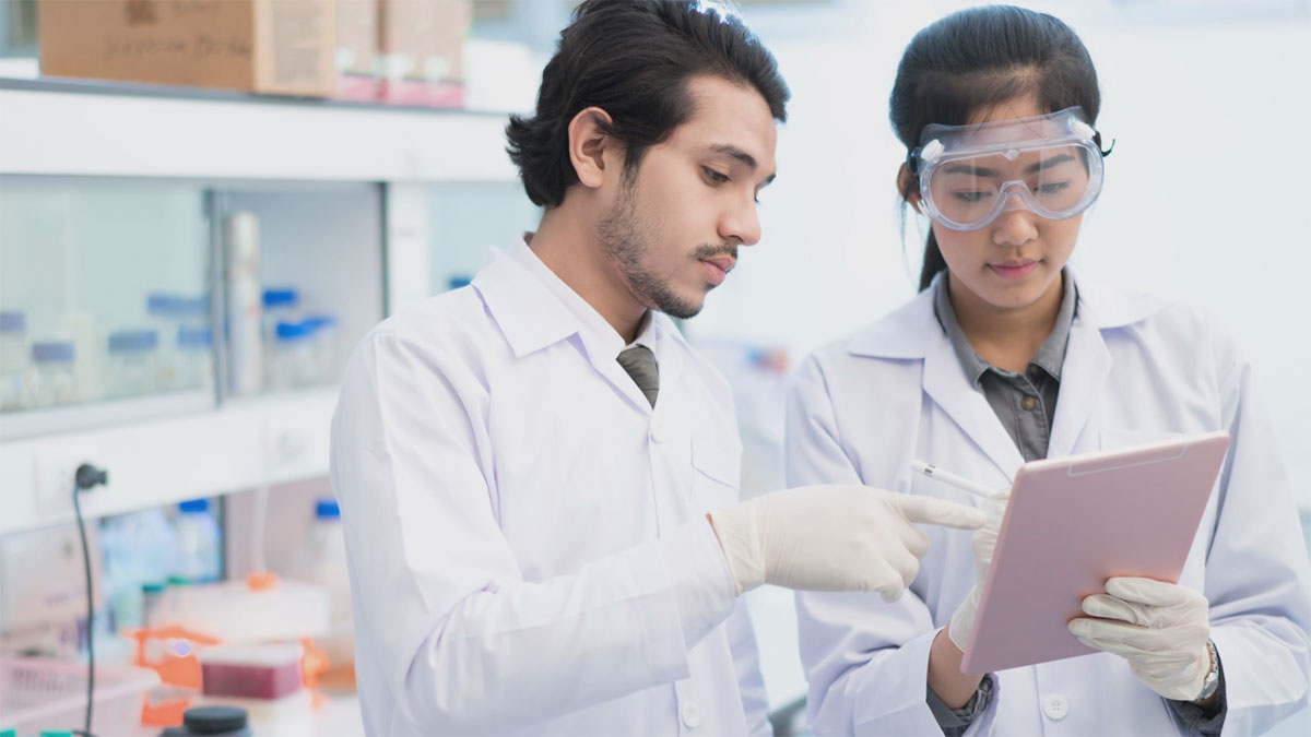 Transform Book 1 Lesson 12 Pre-Study Main