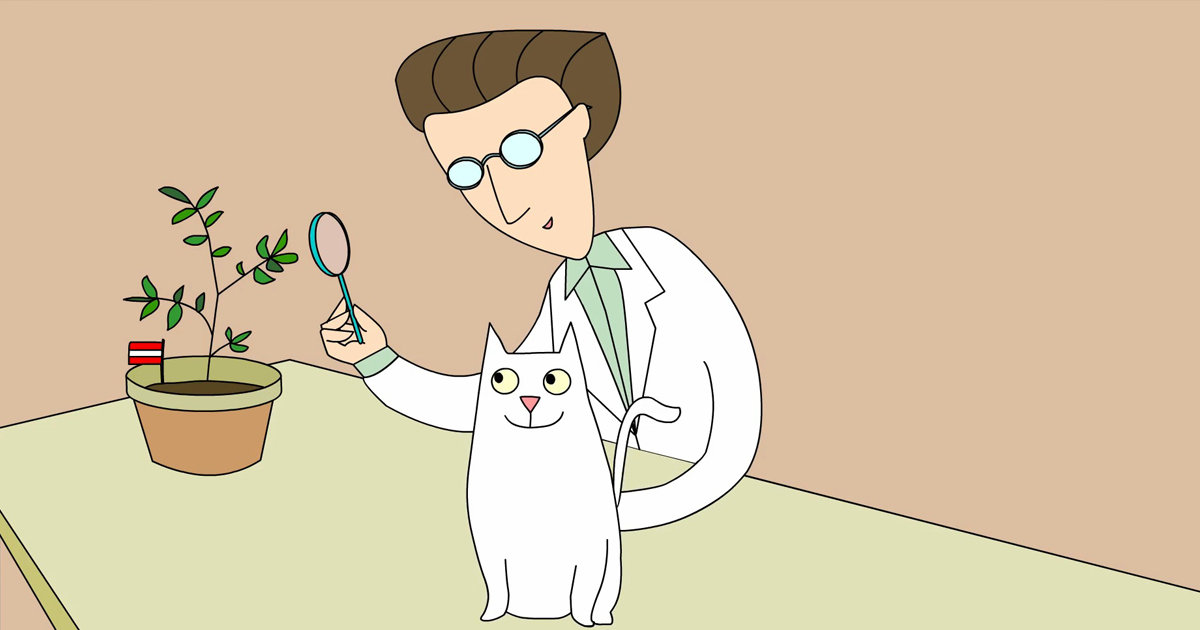 Schrodinger's Cat: A Thought Experiment in Quantum Mechanics