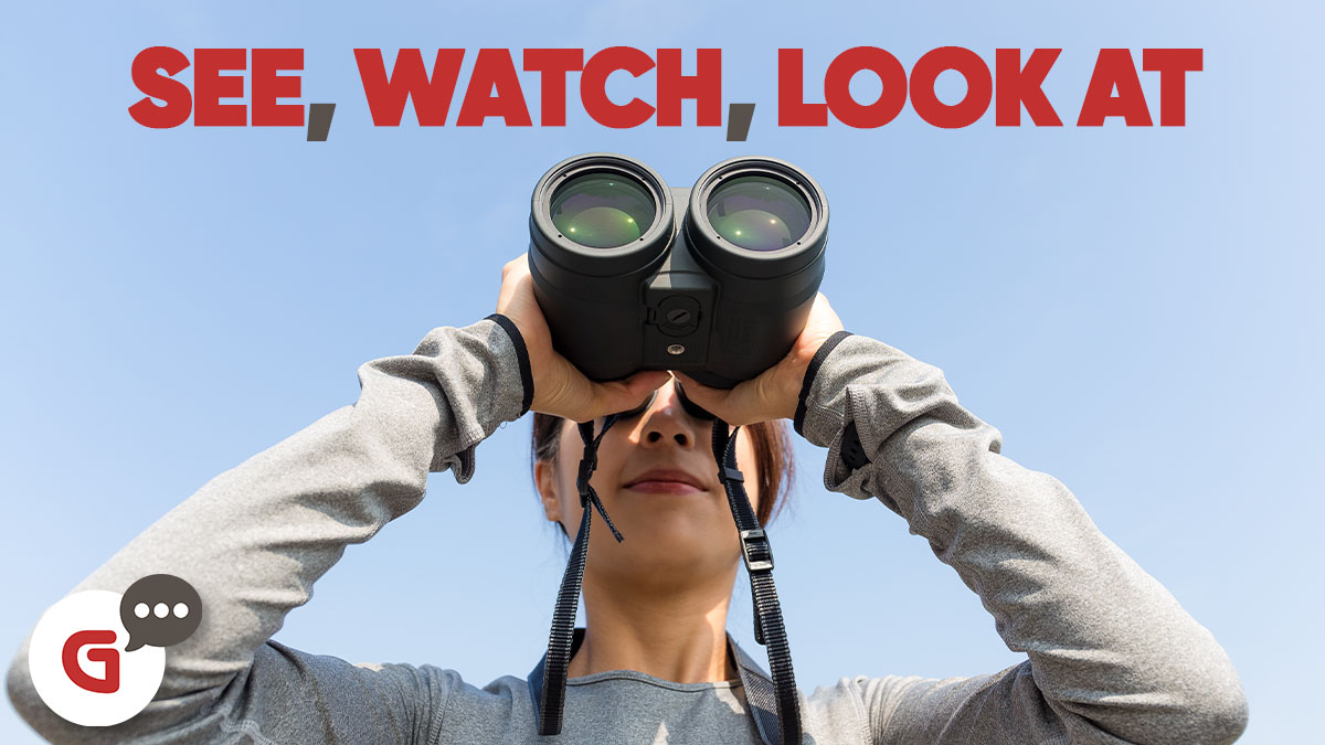 See, Watch and Look at