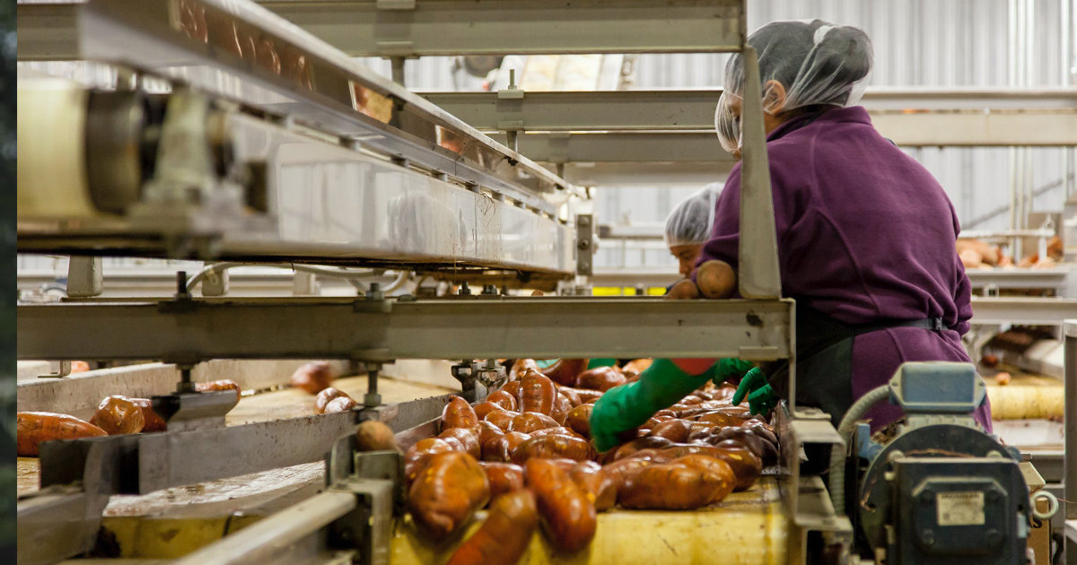 Employees Are the First Line of Food Defense