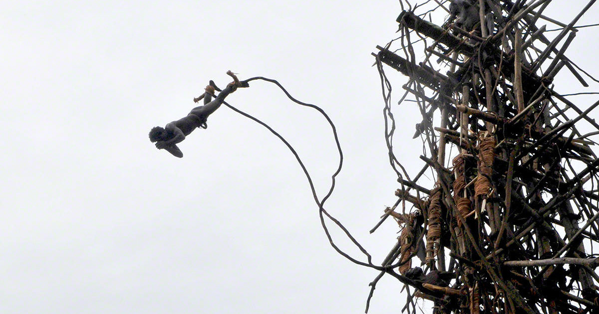 Land Diving in Vanuatu
