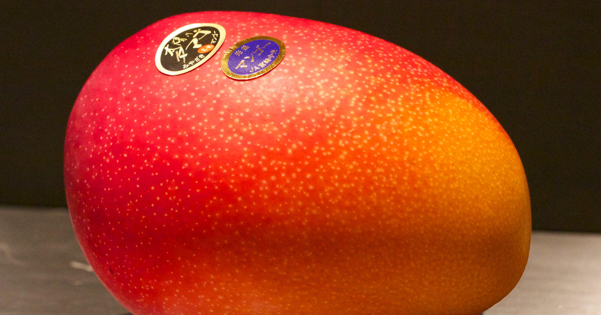 Japan's Egg of the Sun