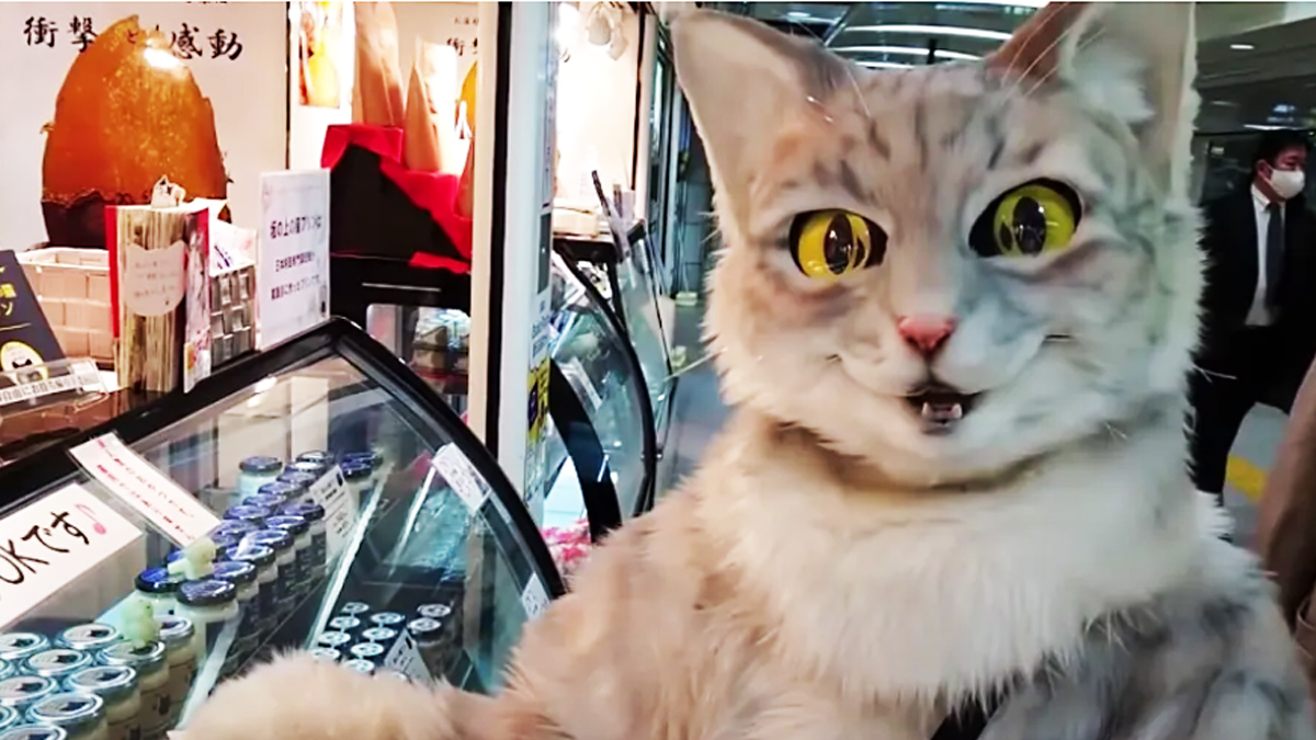A Giant Cat Sells Sweet Potatoes