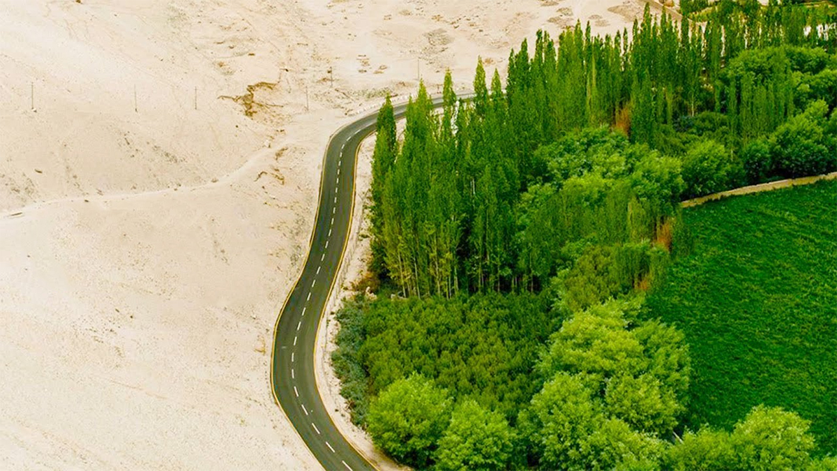 China's Great Green Wall Initiative