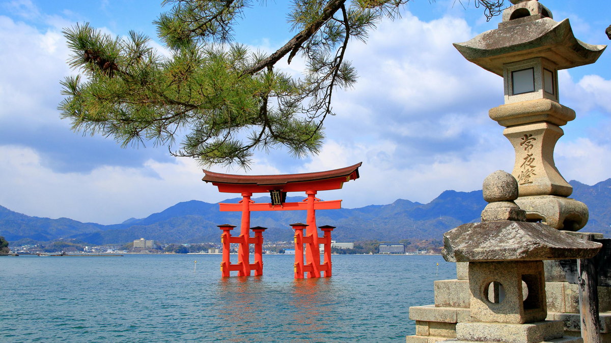 Scenes for Basic Dialogs 2